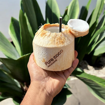 Pure Coco – Pure & Refreshing Coconut Water – PURE COCO